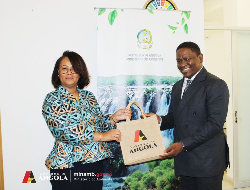 PROJECTO DE CRIAÇÃO DE CAMELOS PARA ECOTURISMO EM CARACULO APRESENTADO ...