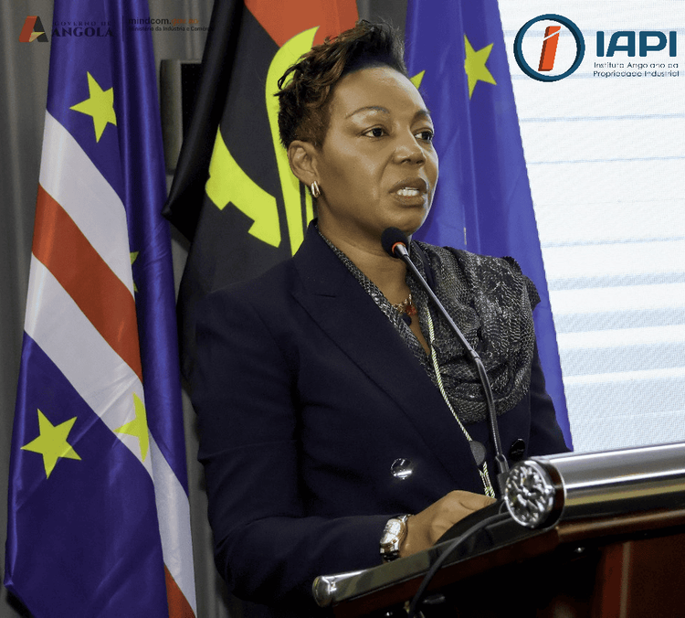 Portal - iapi.gov.ao